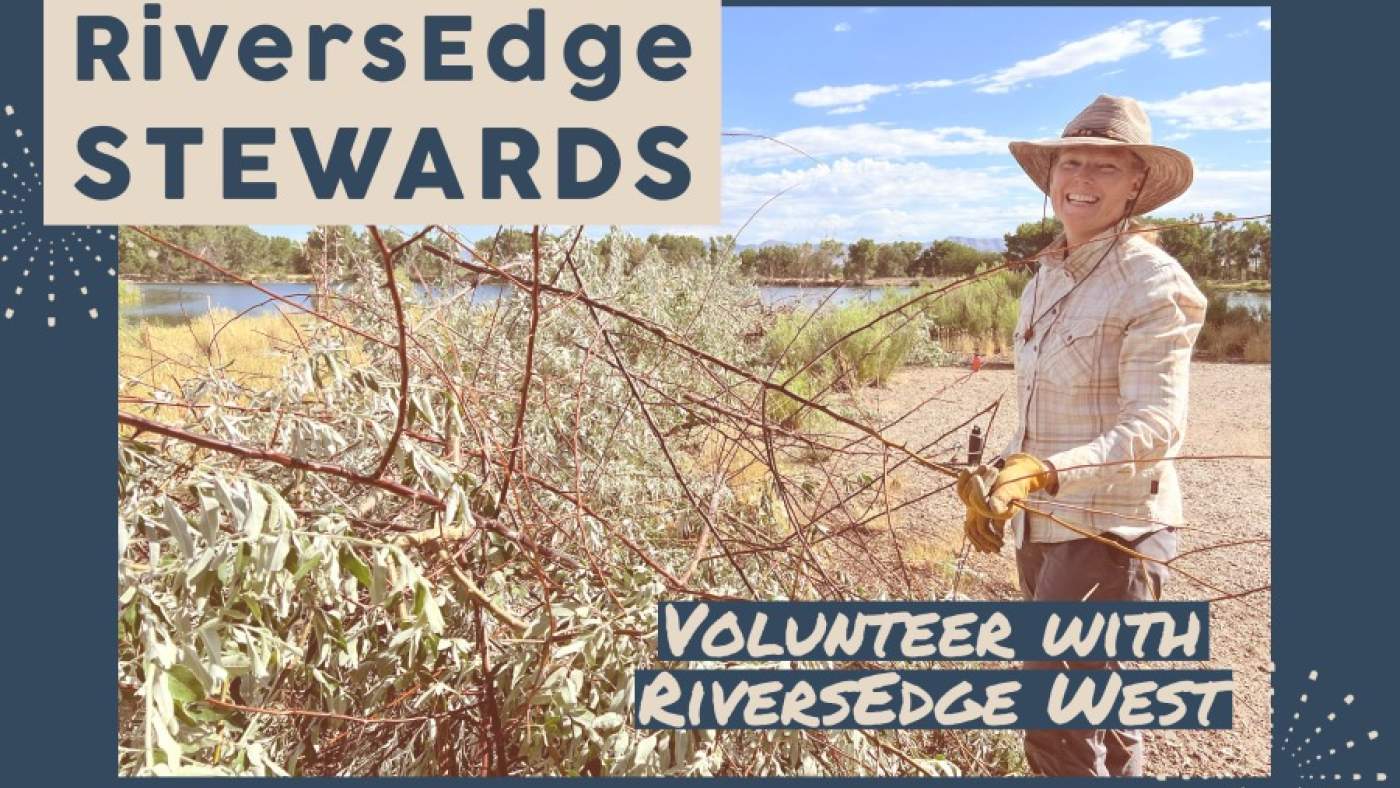 Volunteer Event at Dos Rios Island | RiversEdge West